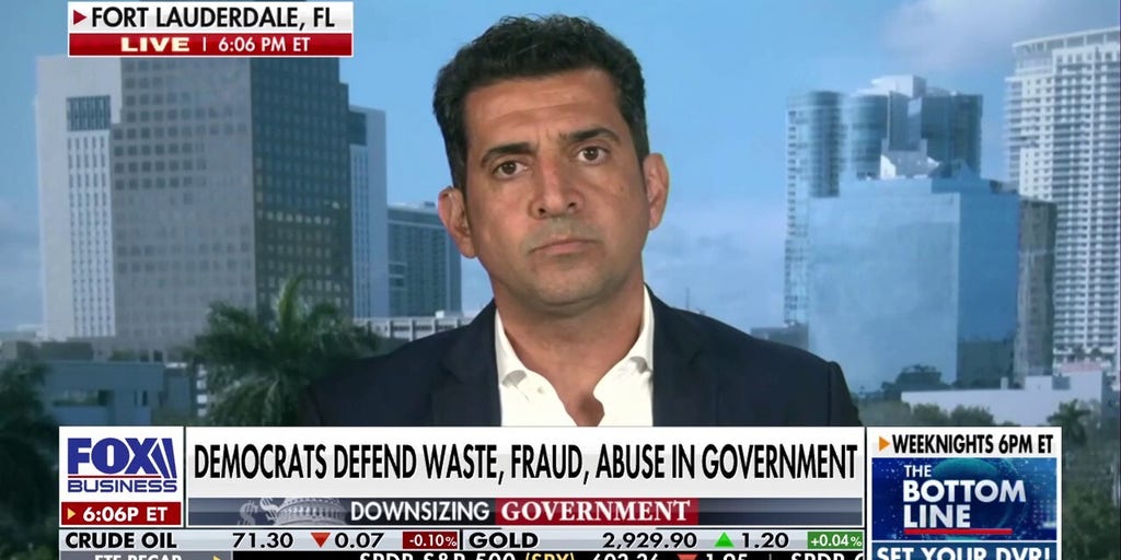 DOGE ensures ‘accountability’ and Americans are ‘ecstatic’, says CEO ...