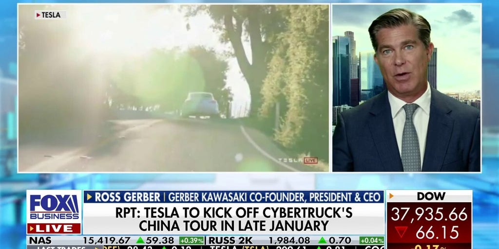 Longtime Tesla shareholder Ross Gerber: I have never seen a more ...