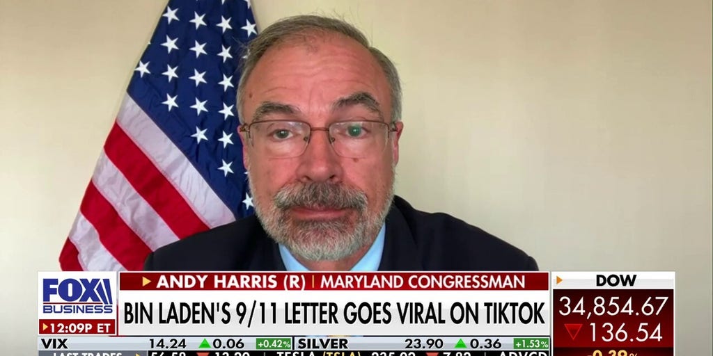 Congress is going to ‘take a position’ on TikTok in the next few months ...