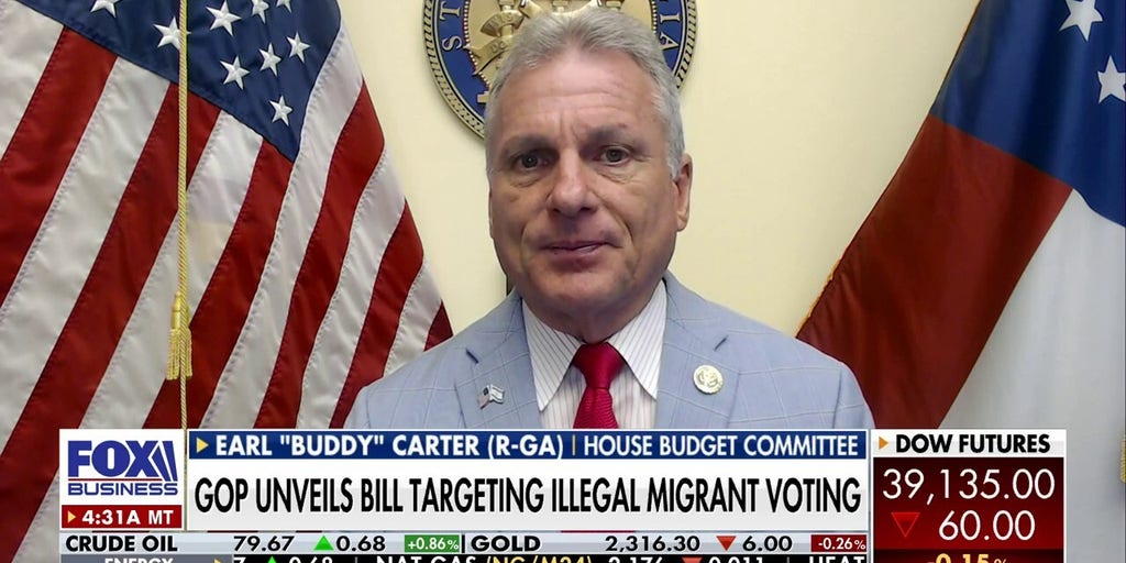 GOP introduces bill ensuring 'only Americans' vote in US elections: Rep ...