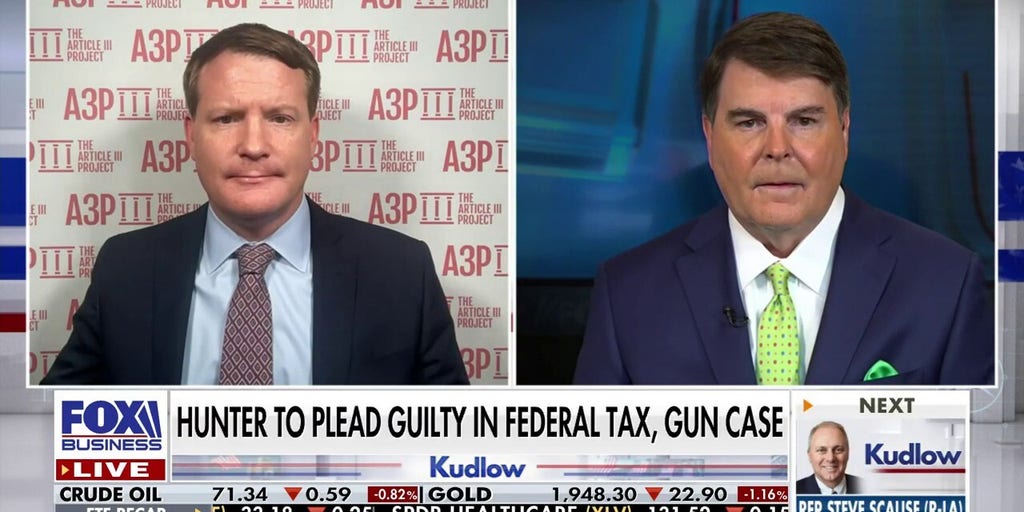 The Justice Department is covering up a lot of information: Mike Davis ...