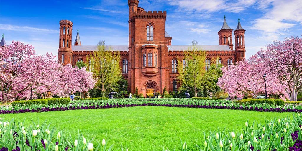 Smithsonian faces backlash after publishing aspects of ‘whiteness ...