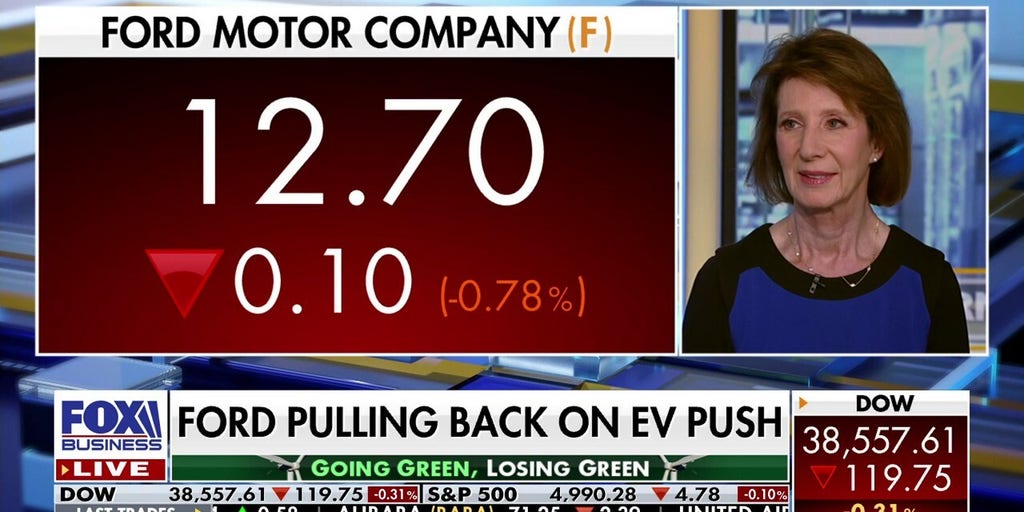 Consumers ‘don’t want to buy’ EVs: Diana Furchtgott-Roth | Fox Business ...