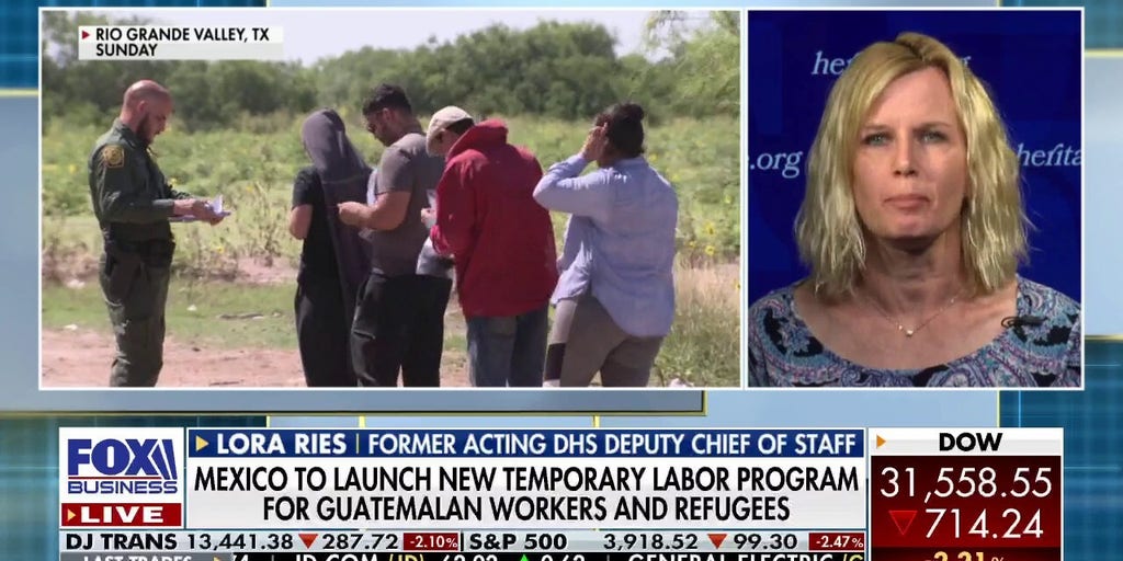 Until Biden stops illegal immigration, border crisis cycle ‘won’t end ...