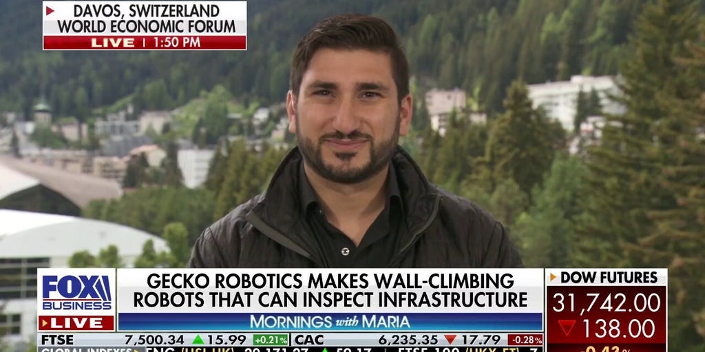 Robotics the solution to cultivating a new line of source energy: Gecko ...