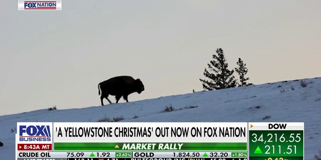 Fox Nation's 'A Yellowstone Christmas' out now | Fox Business Video
