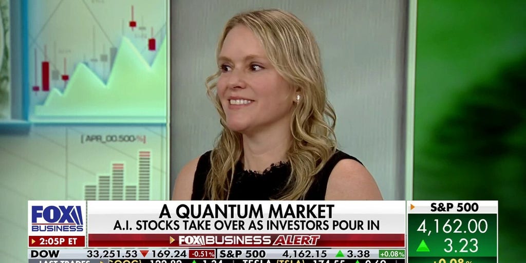 Sylvia Jablonski on AI stock fever: Every sector will be impacted by AI ...