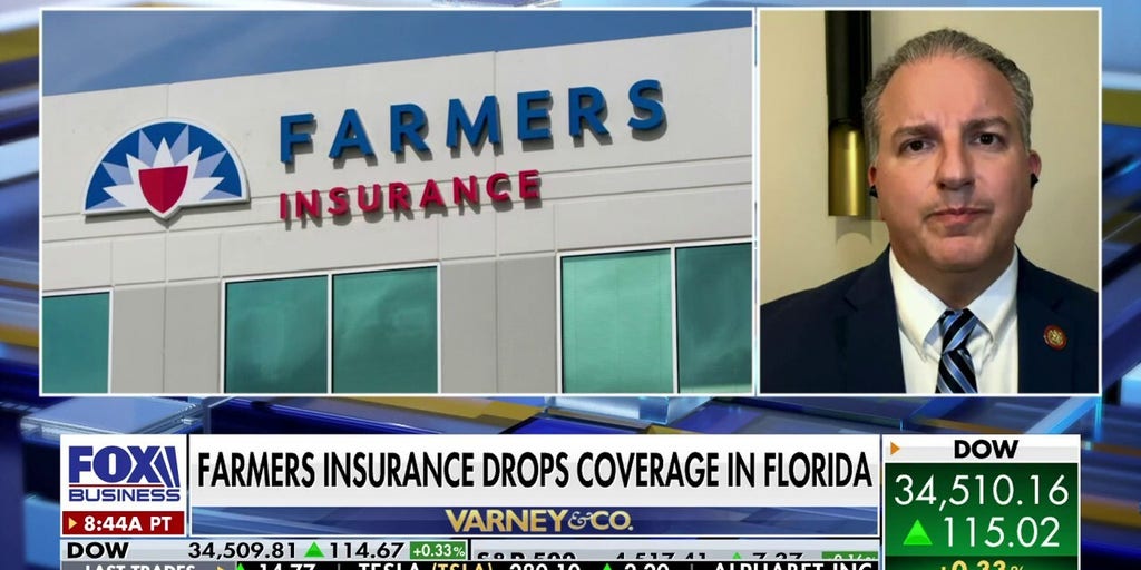 Farmers has 'become the Bud Light' of the insurance industry: FL CFO ...
