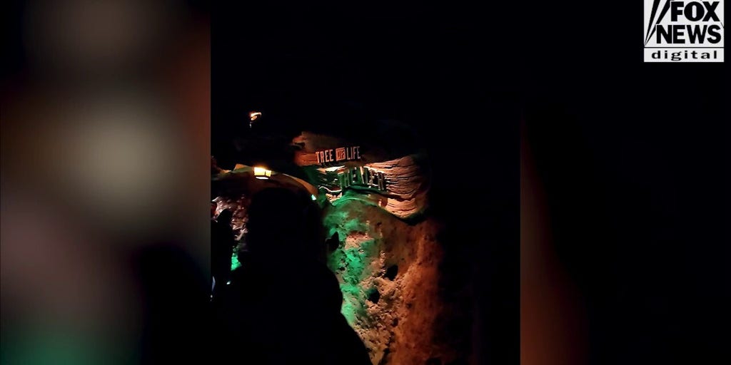 Inside look at show queue for Disney's new 'Zootopia Better Zoogether ...