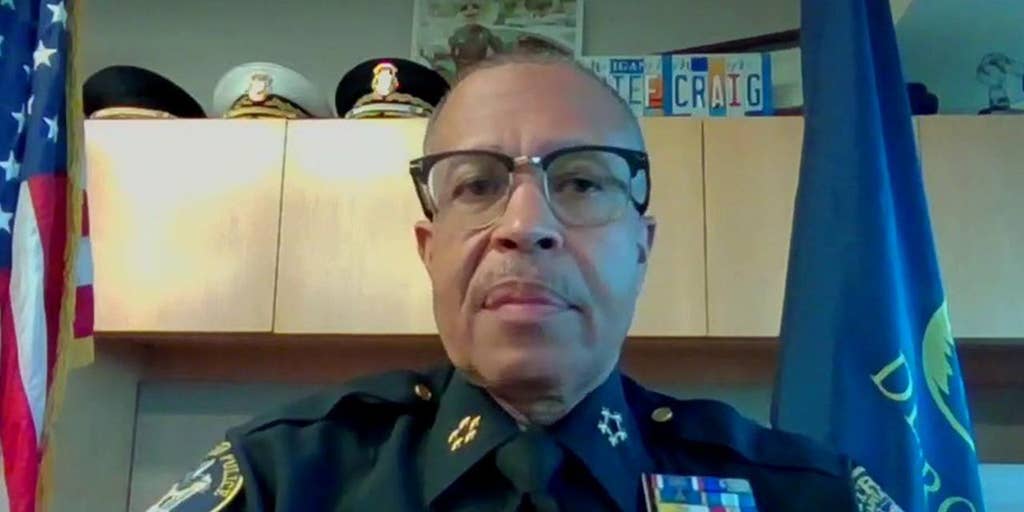 Detroit police chief on lawmakers' call for investigation into city's ...