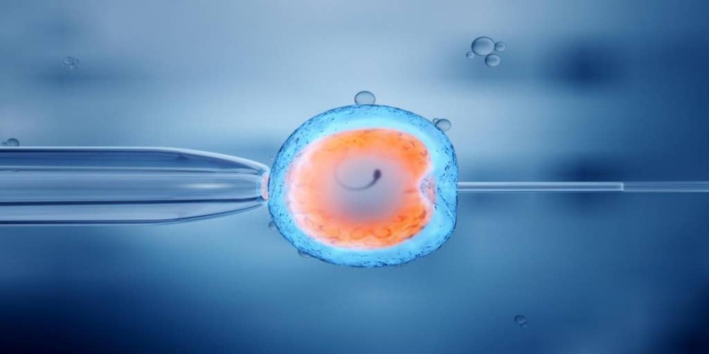 TMRW's 'transformative' IVF technology keeps eggs, embryos 'safe and ...