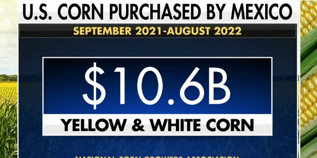 Corn farmers grow angry over Mexico's push to ban the genetically ...