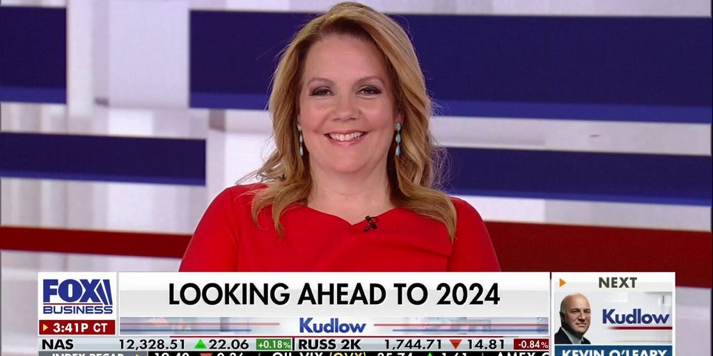 Mollie Hemingway reveals key issues that impacted election integrity ...