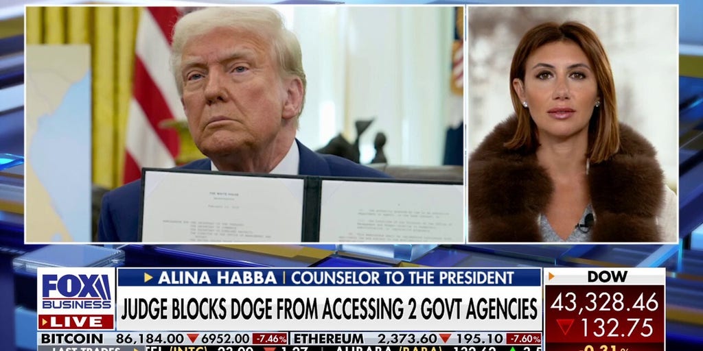 DOGE lawsuits are 'ridiculous,' Trump has the authority: Alina Habba ...