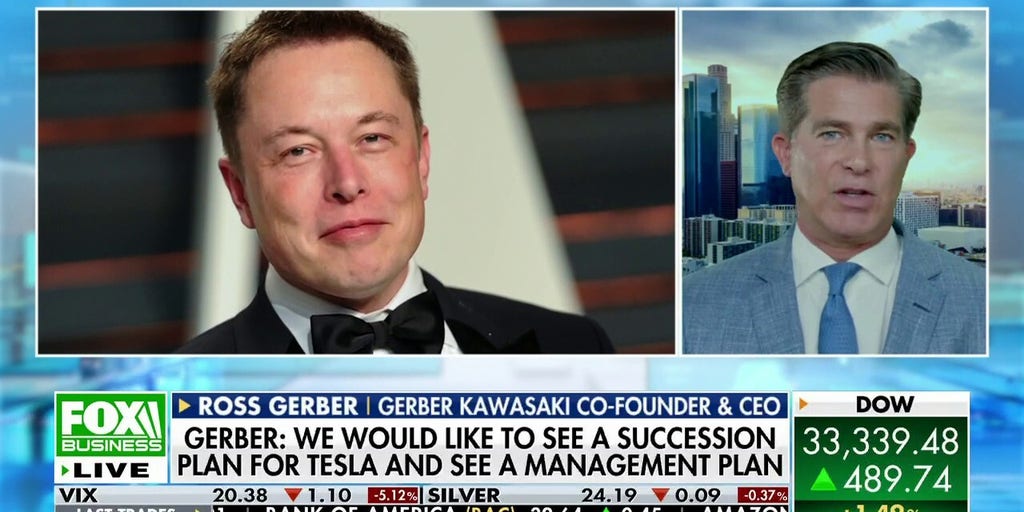 Elon Musk swats at Tesla investor Ross Gerber after criticism | Fox ...