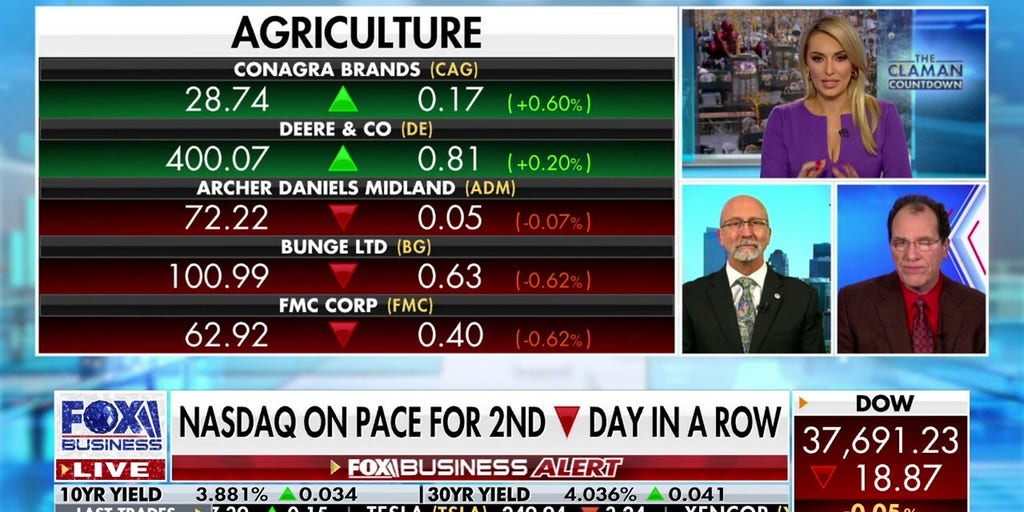 2024 may be a year 'for the record books': Keith Fitz-Gerald | Fox ...