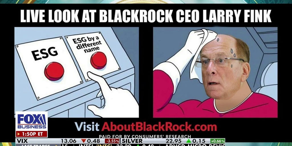 Consumers should feel ‘empowered’ by their impact: Will Hild | Fox ...