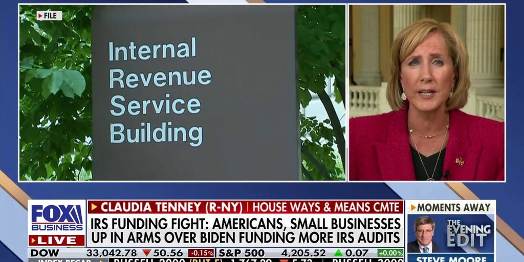 Rep. Claudia Tenney calls to reduce the IRS: They're 'hurting our small ...