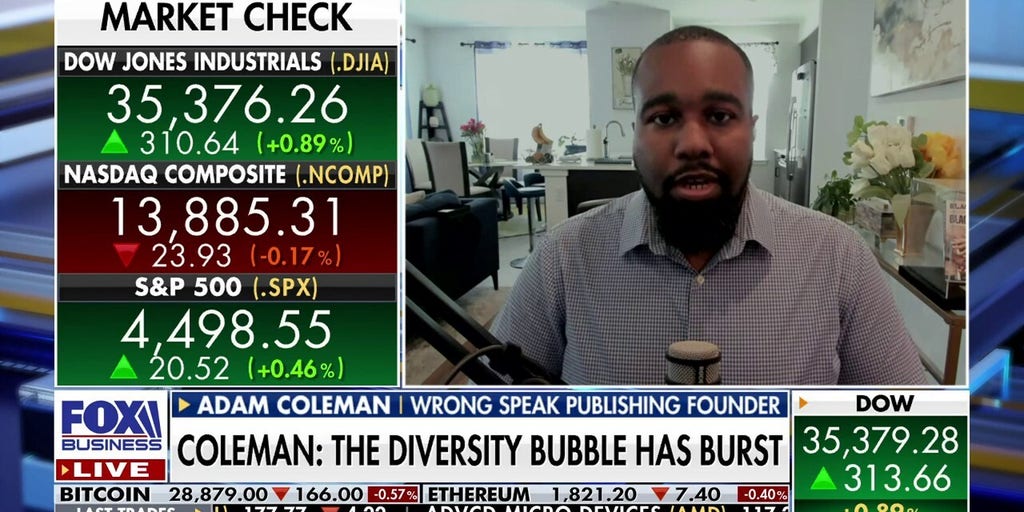 Corporate America being 'held captive' by a DEI push: Adam Coleman ...