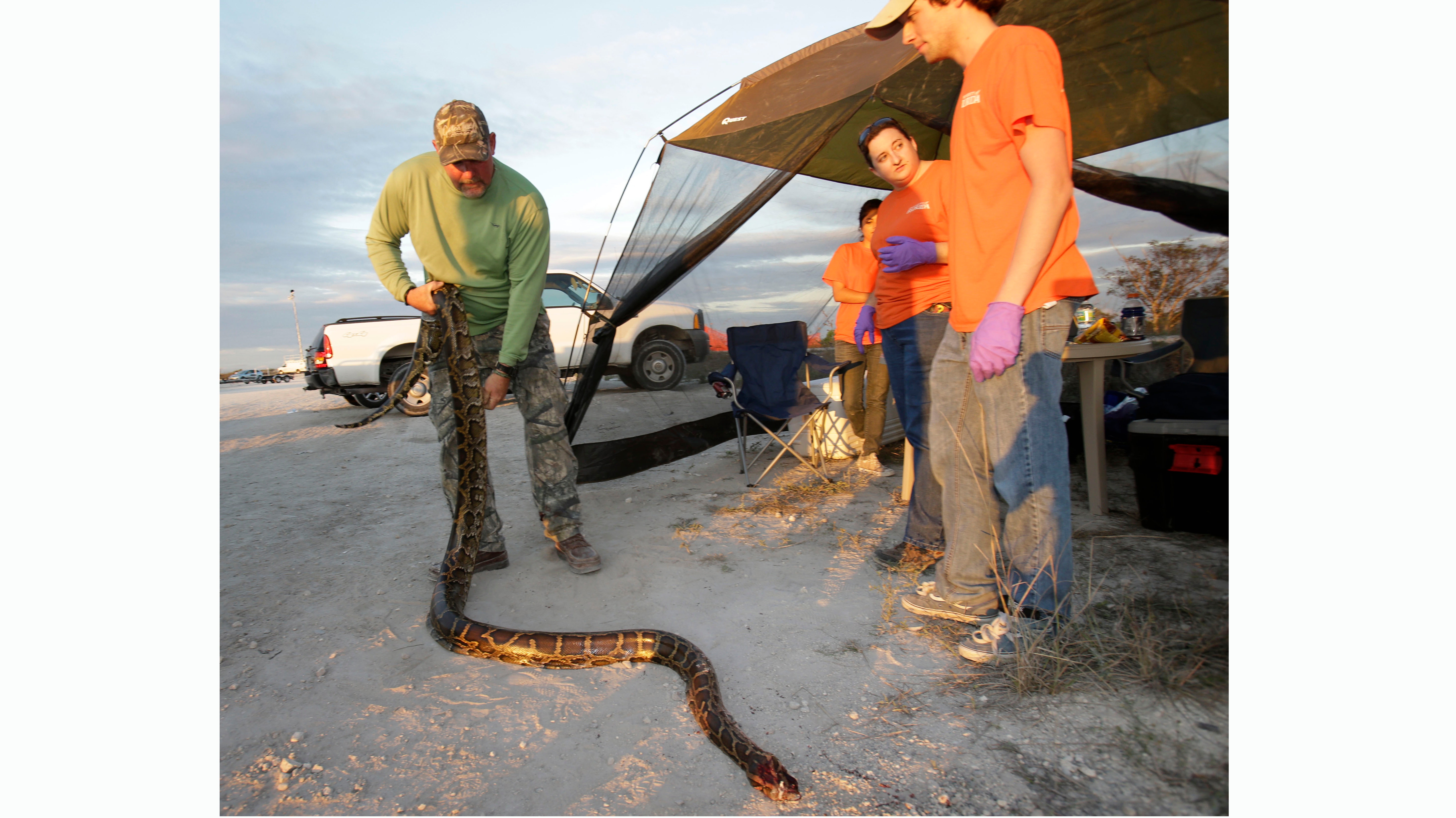 Florida holds python hunt