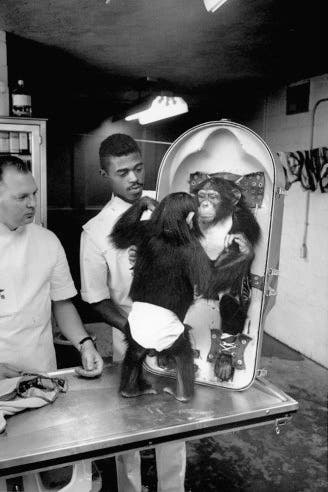 America's first space monkey | Slideshow | Fox News