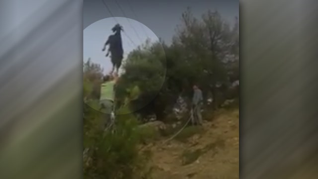 Men rescue goat dangling from power lines | Fox News Video