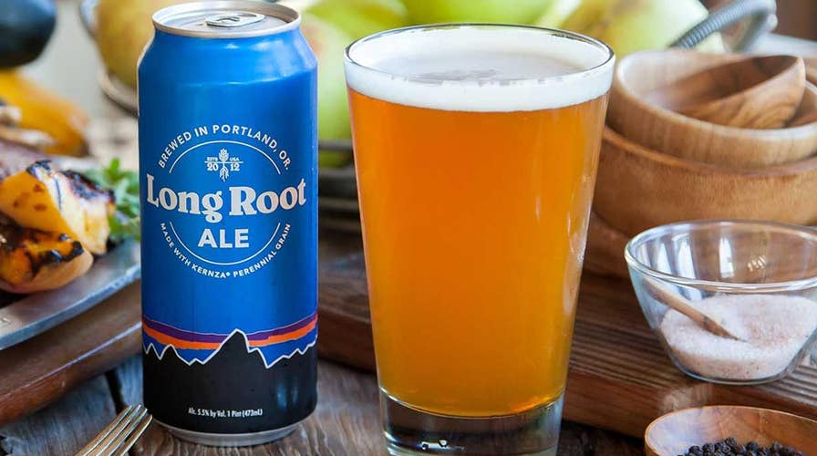 Patagonia wants to save the environment with new Long Root Ale beer ...