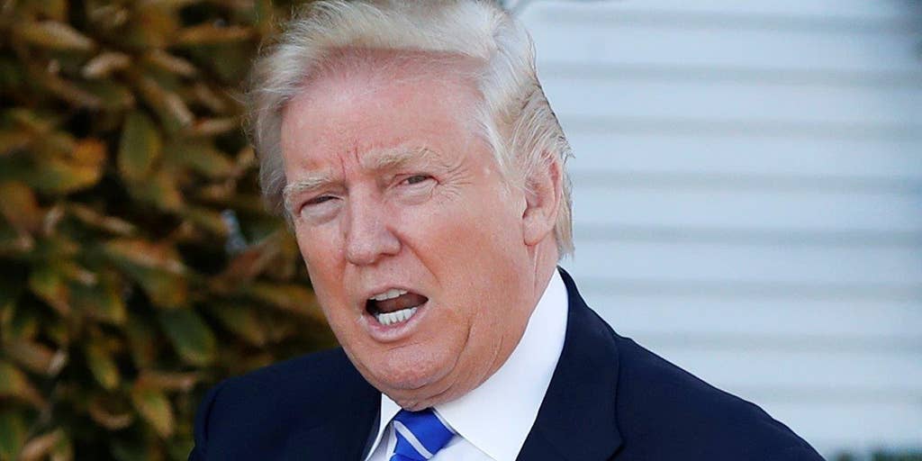 How Donald Trumps Deportation Force Might Work Fox News Video