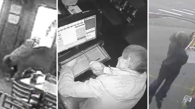 Watch worst Burglar Completely Botch Bar Robbery Latest News Videos watch-worst-burglar-completely-botch-bar-robbery-latest-news-videos