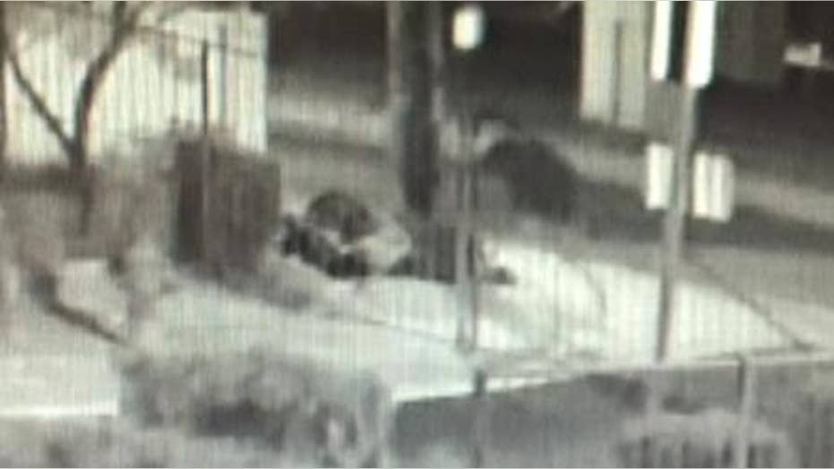 Potential serial killer on the prowl near Las Vegas, police warn | Fox News Potential serial killer on the prowl near Las Vegas, police warn | Fox News