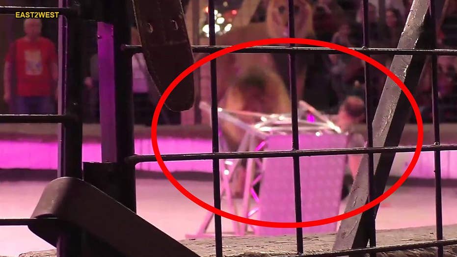 Circus lion attacks trainer, sinks teeth and claws in terrifying moment ... Circus lion attacks trainer, sinks teeth and claws in terrifying moment ...