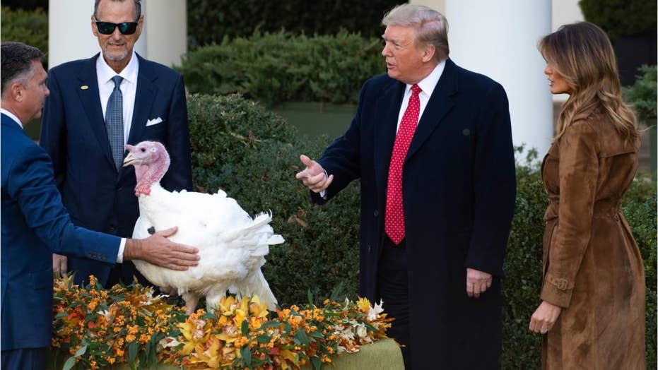 Florida boy challenges Trump to go vegan for a month, offers $1M ...