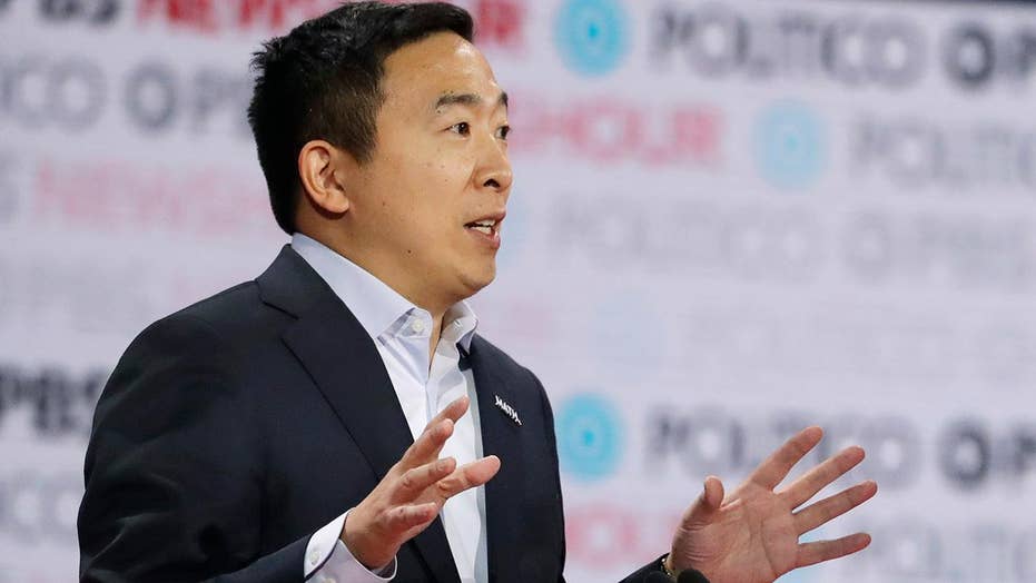 Where does Andrew Yang stand on the issues? | Fox News