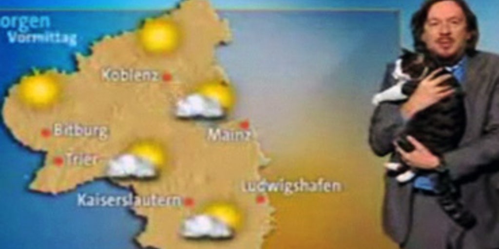 Cat Interrupts Weatherman | Fox News Video