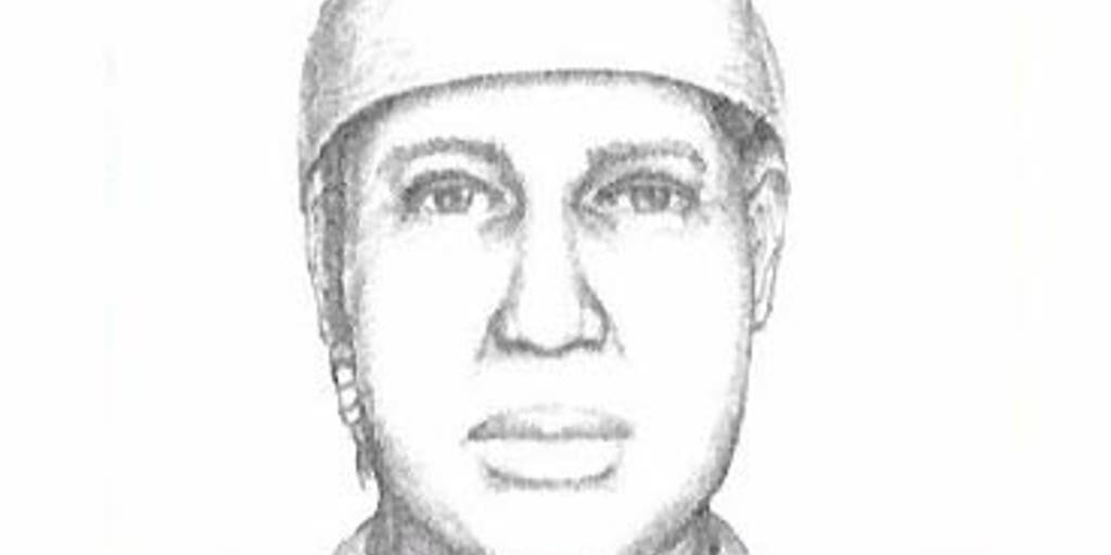 Shooting Suspect Sketch | Fox News Video