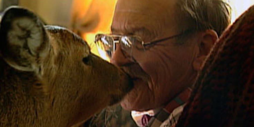 Deer-ly Beloved | Fox News Video