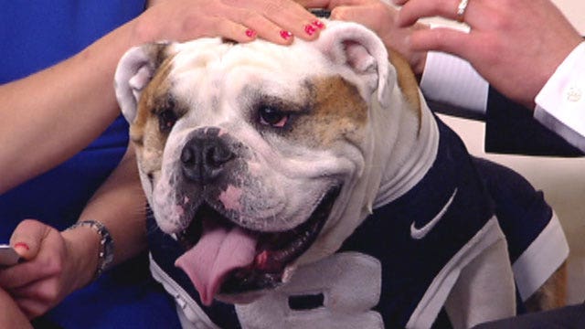 After the Show Show: Butler Blue III | Fox News Video