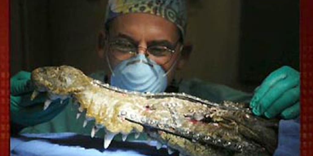 Robo Croc | Fox News Video