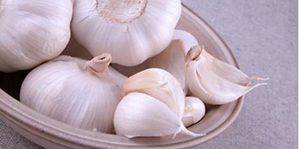 You Can't Say That On Radio | Fox News Video