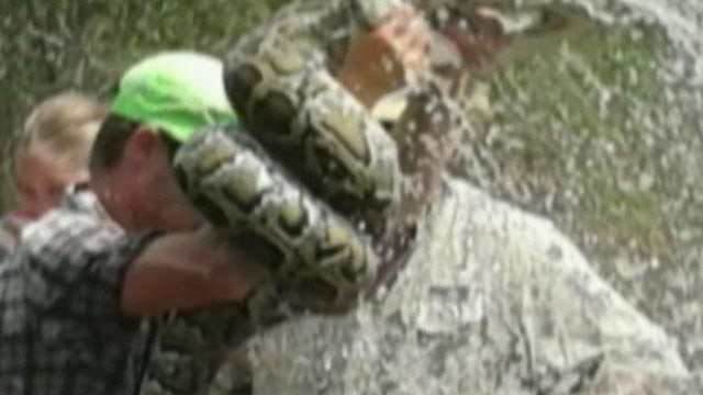 Tour boat guide wrestles python | Fox News Video