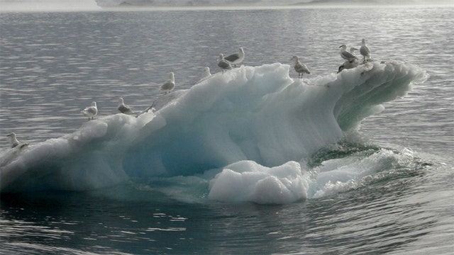 Is the climate change threat exaggerated?| Latest News Videos | Fox News Is the climate change threat exaggerated?| Latest News Videos | Fox News