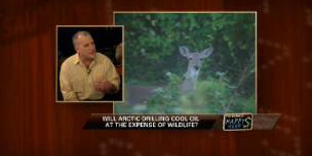 The Indiana Jones of Wildlife | Fox Business Video