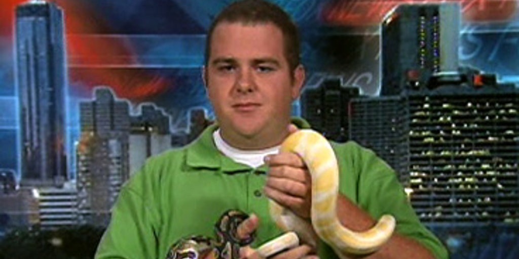 Pythons to Be Banned as Pets? | Fox News Video