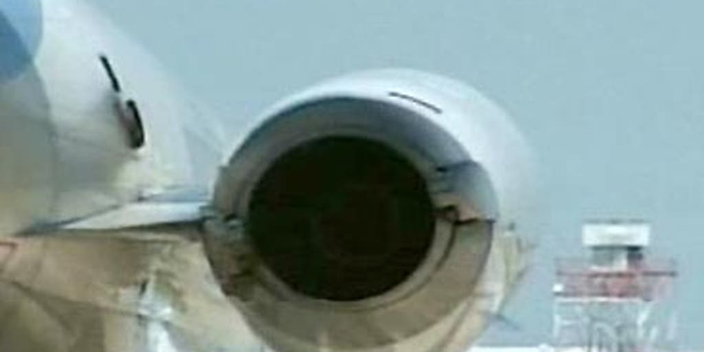 Look Out Below! | Fox News Video