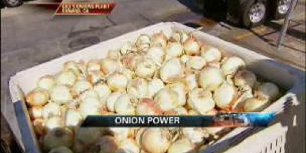 Turning Onions Into Power | Fox Business Video