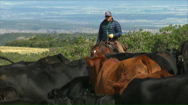 102414_FNR | Fox News Video