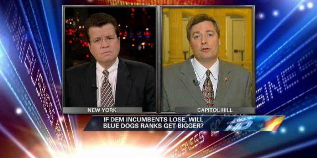 Dem on Election's Effect on Blue Dogs | Fox Business Video