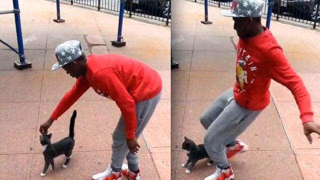 Man faces animal cruelty charge for kicking stray cat | Fox News Video