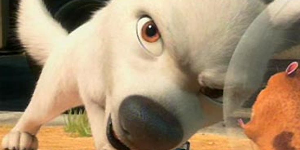 'Bolt' | Fox News Video