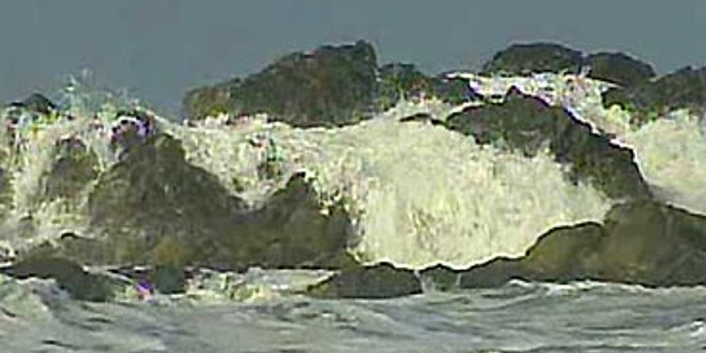 Ocean Miracle Grow | Fox News Video